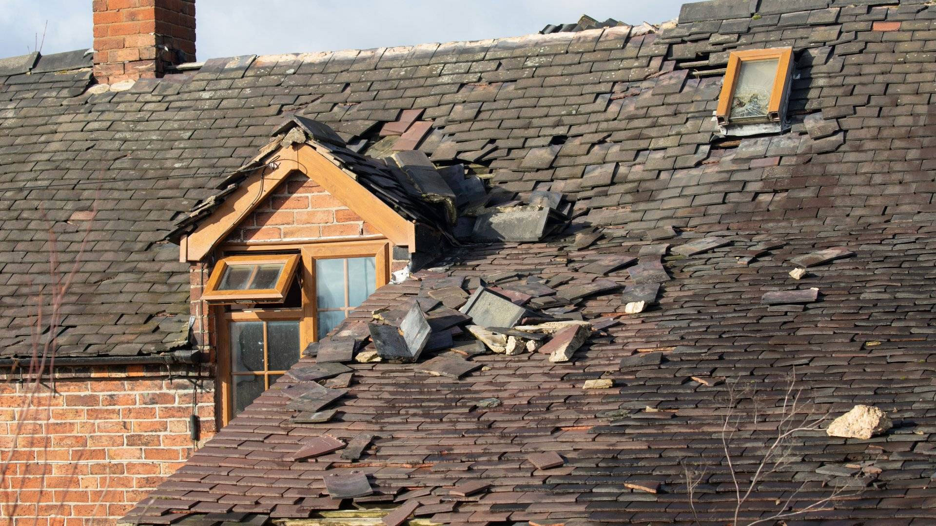 Top Signs of Roof Damage and How to Address Them Effectively ...